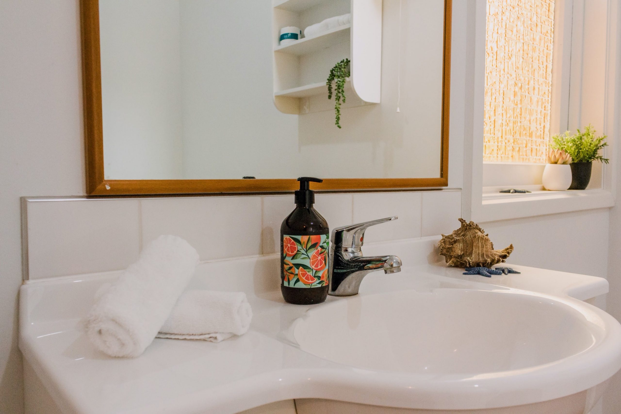 Esplanade Apartments Dunedin | Ocean View | St Clair Esplanade | NZ